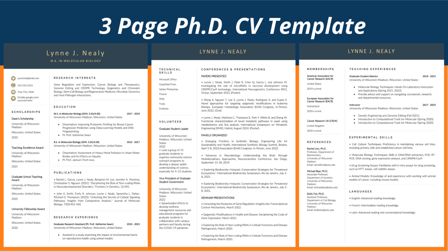 PhD Application CV Template - TempaLyst