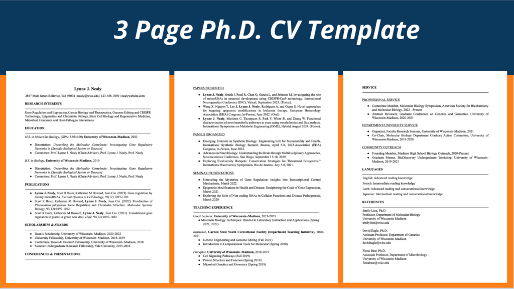 PhD Application CV Template - TempaLyst