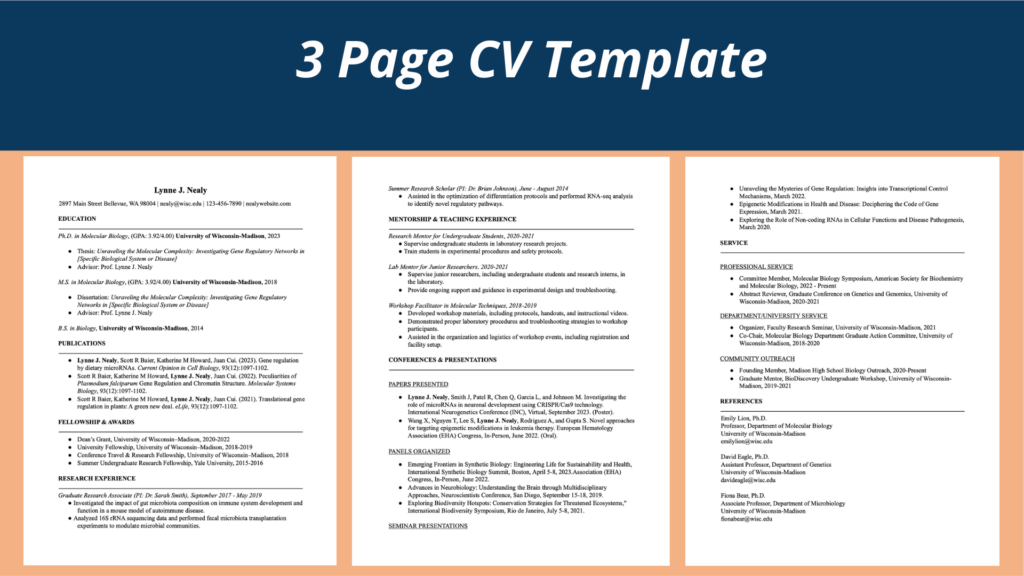 Postdoctoral CV Template - TempaLyst