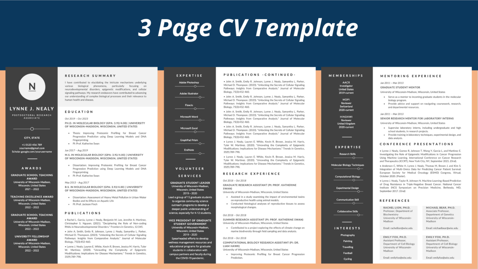 Postdoctoral CV Template - TempaLyst